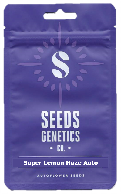 Super Lemon Haze Autoflower – Seeds Genetics