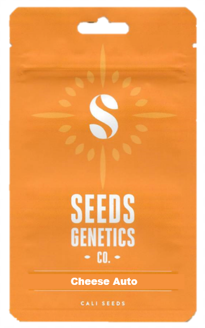 Cheese Autoflower – Seeds Genetics